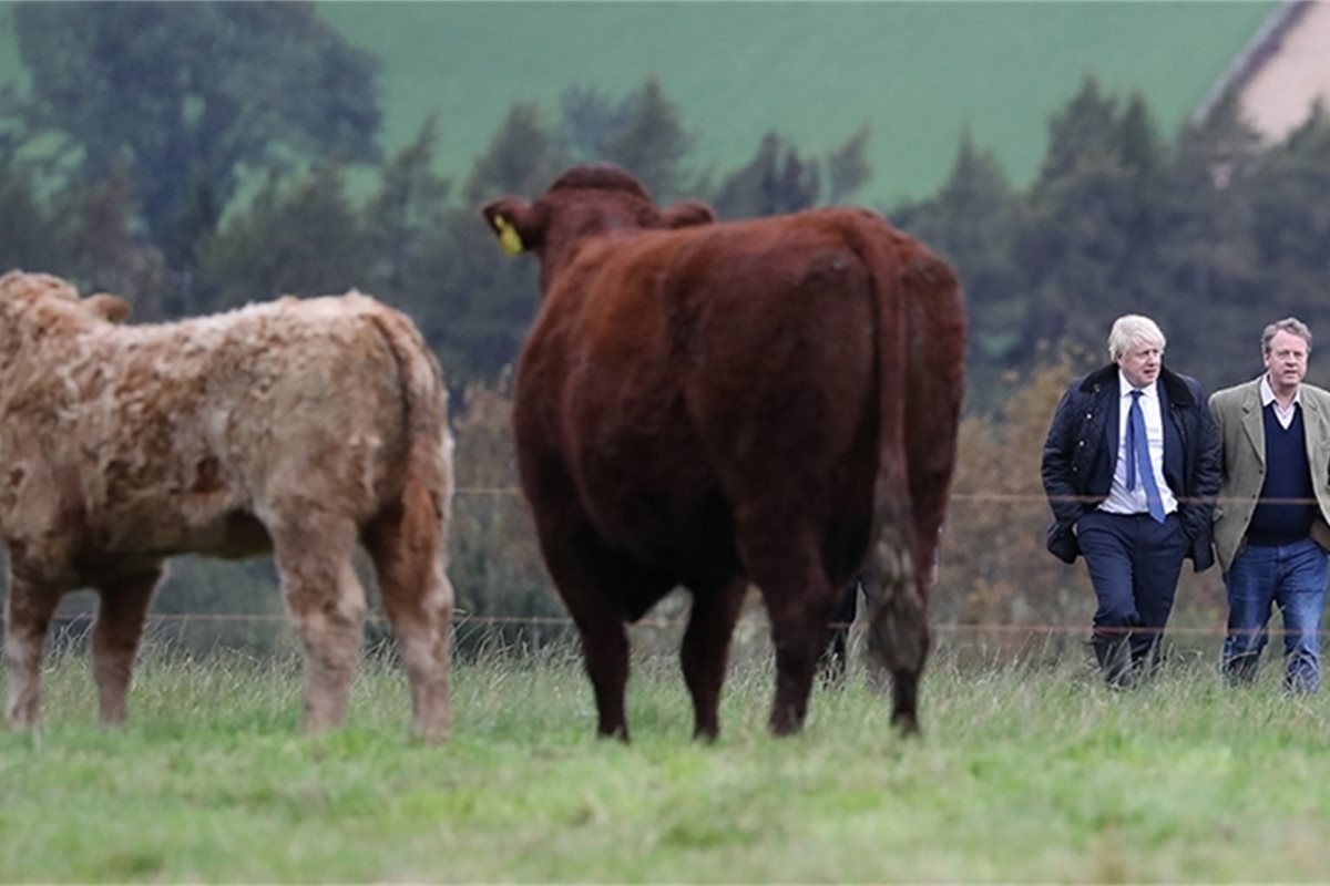Holyrood | Alister Jack: the Scottish Tory MPs are making a difference ...
