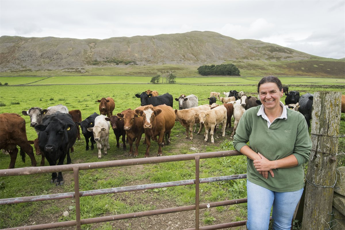 Holyrood | Associate Feature: How we as the Scottish red meat industry ...
