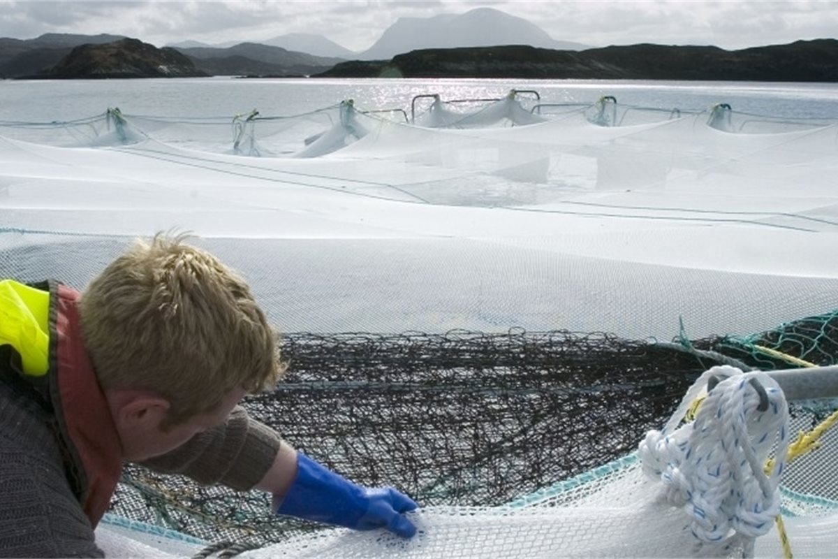 Holyrood Article | Fine balancing act: The future of Scottish fishfarming